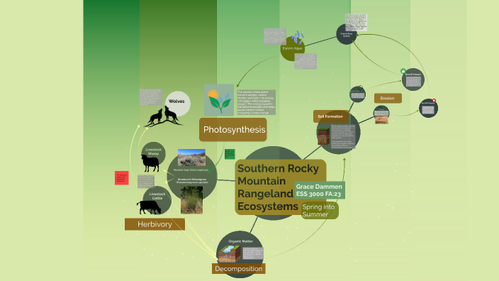 Rangeland Ecosystems by Grace Dammen on Prezi