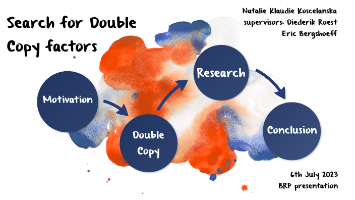 Bachelor's research project - Module by Natálie Klaudie Koscelanská on ...