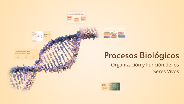 Procesos Biológicos by Valeria Domínguez on Prezi