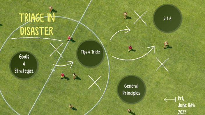 Triage in Disaster by Angie Erditha on Prezi