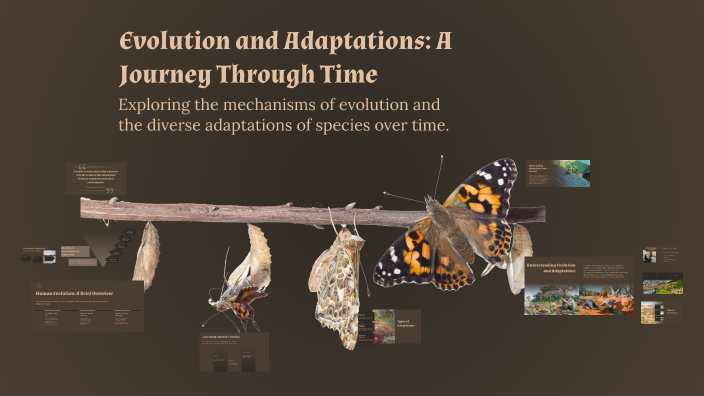 Evolution and Adaptations: A Journey Through Time by elliott wilkinson ...