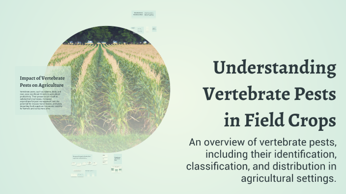 Understanding Vertebrate Pests in Field Crops by plant protection on Prezi
