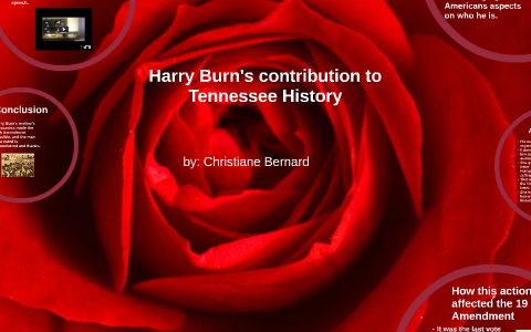 Harry Burn's contribution to Tennessee History by christiane bernard