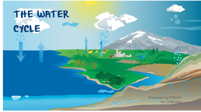 The water cycle 4th grade by Cristina Hurlop on Prezi