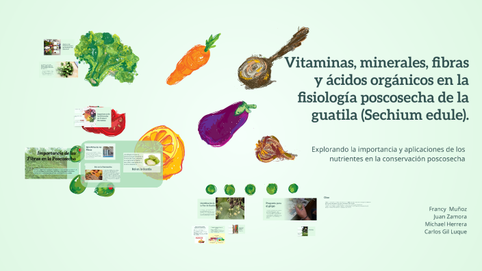 Vitaminas, minerales, fibras y ácidos orgánicos en la fisiología ...