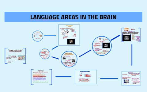 LANGUAGE AREAS IN THE BRAIN by Jorge Londoño Lenis on Prezi