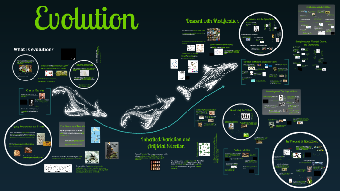 Evolution by Ms Schwinge on Prezi
