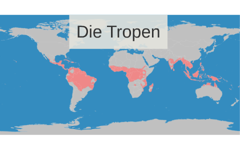 Die Tropen by Lucas Haindl on Prezi