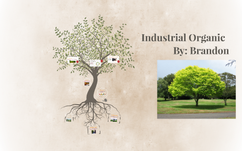 Industrial Organic Food Chain by Debra Johnson on Prezi