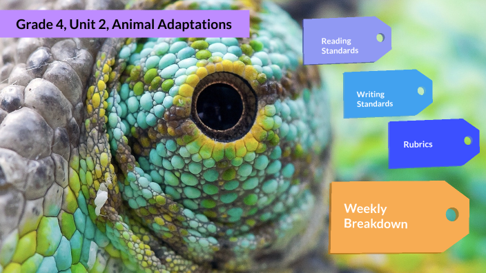 Grade 4 Unit 2 Adaptations by Matthew Limtiaco on Prezi