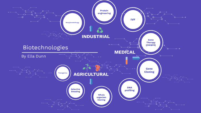 Biotechnology Mind Map by Ella Dunn on Prezi