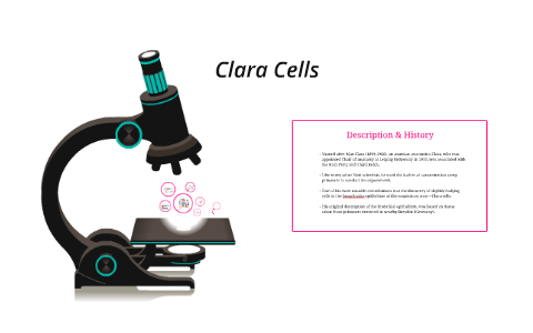 CLARA CELLS by jamie . on Prezi