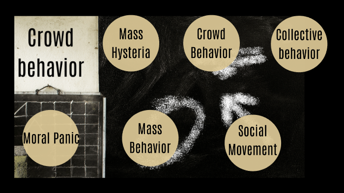 Sociology Crowd Behavior by Grayson Herberich on Prezi