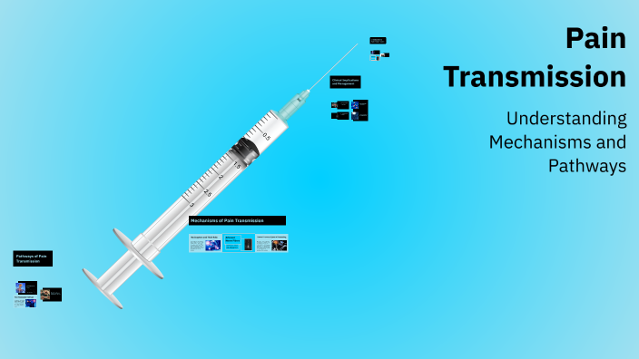 Pain Transmission by su Myat on Prezi