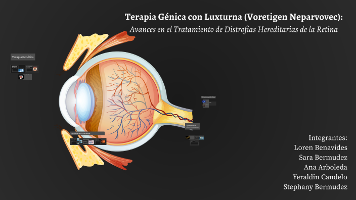 Distrofia Hereditaria de Retina by sara bermudez on Prezi