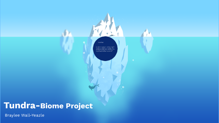 Tundra-Biome Project by Braylee Wall on Prezi
