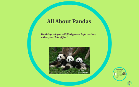 All About Pandas by Jewish Community Day School of Rhode Island on Prezi