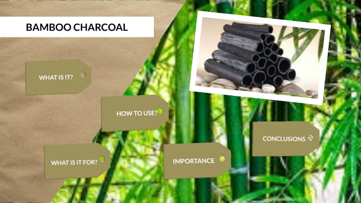 Bamboo Charcoal_PPT_Level9 by Doris Calero on Prezi
