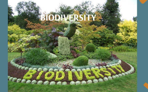 BIODIVERSITY Mind Map by harman dosanjh on Prezi