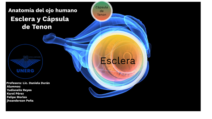 Esclera y Cápsula de Tenon by juan ferrer on Prezi