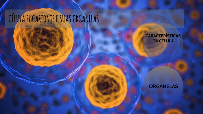 CÉLULA ANIMAL E SUAS ORGANELAS by João Paulo Crensiglova
