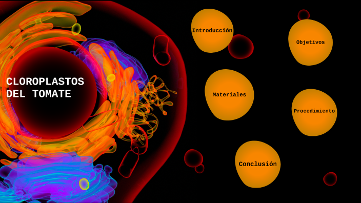 Informe de los cromoplastos del tomate by Pablo Moya Román on Prezi