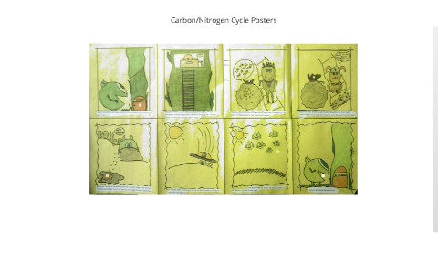 Carbon/Nitrogen Cycle Poster by steven mamanakis on Prezi