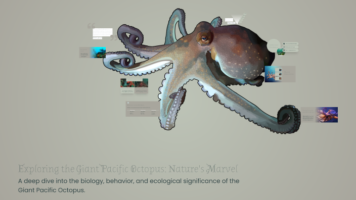 Exploring the Giant Pacific Octopus: Nature's Marvel by Alia S on Prezi