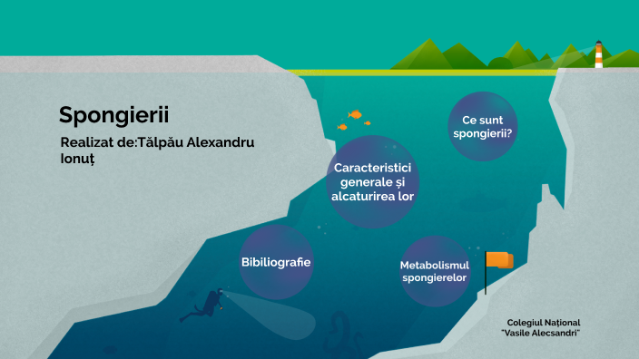 Spongierii by Ares on Prezi