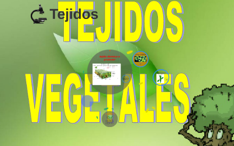 tejido dermico o protector by santiago avila on Prezi