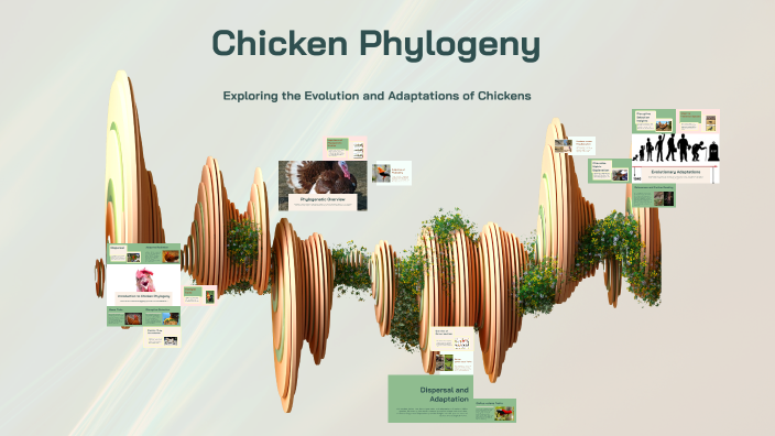 Chicken Phylogeny by Joseph Wheeley on Prezi