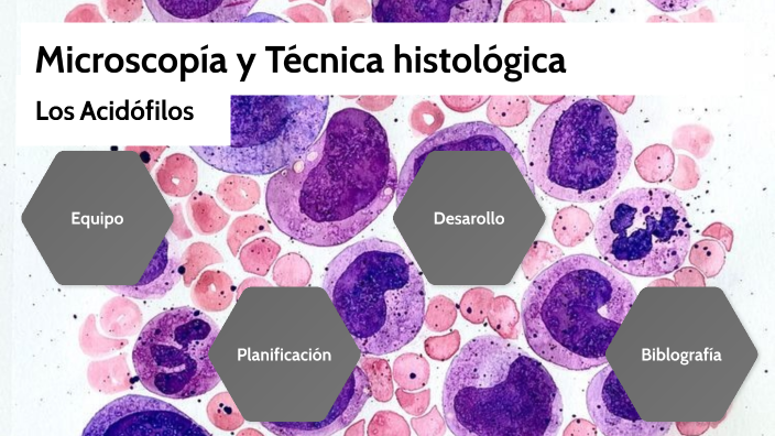 Los Acidofilos by Josefina Tobal on Prezi