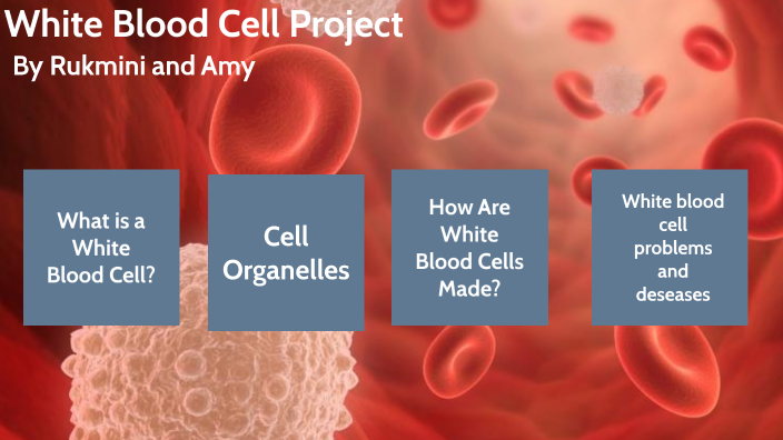 White Blood Cell Project by Amy knill on Prezi