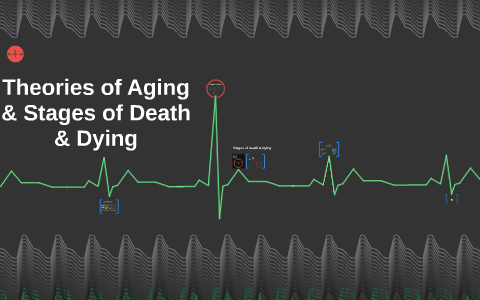 Theories of Aging & Stages of Death & Dying by Maria Herrera on Prezi