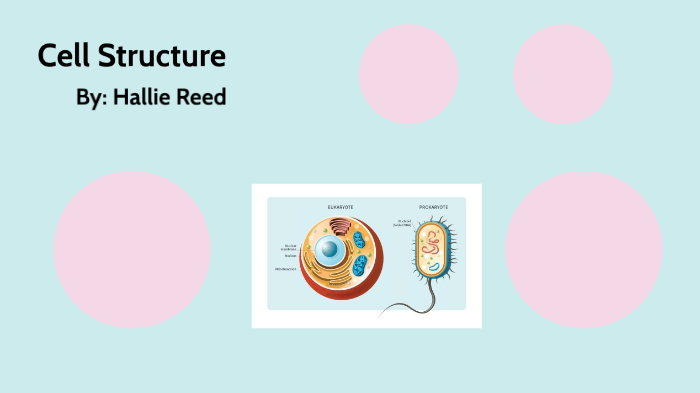 cell structure by hallie reed on Prezi