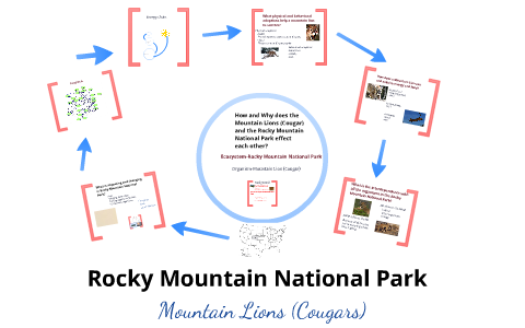 Alexis Beall by Patti Lundt on Prezi