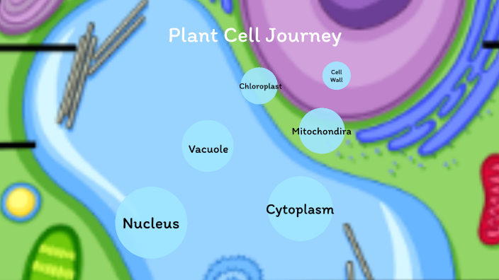 Cell Theme Park by Josiah=GOAT JUAN=GOAT on Prezi
