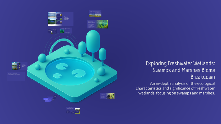 Exploring Freshwater Wetlands: Swamps and Marshes Biome Breakdown by ...