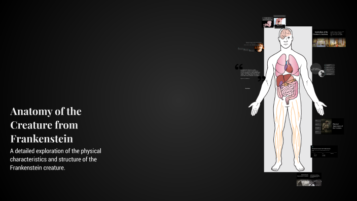 Anatomy of the Creature from Frankenstein by david i on Prezi