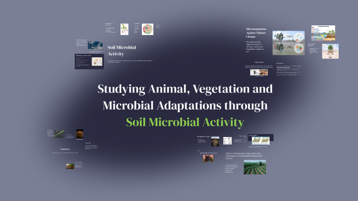 Studying Animal, Vegetation and Microbial Adaptations by Ivy Paulson on ...