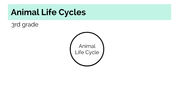 Life Cycles 3rd grade by Amber Piper on Prezi