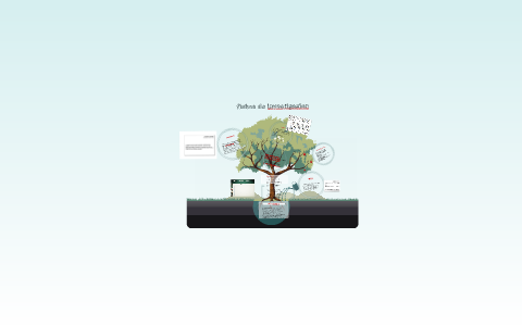 fichas de investigaacion by karina badillo