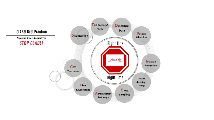 Vascular Access Commitee: STOP CLABSI Campaign by Mary Ann Zavertnik on ...