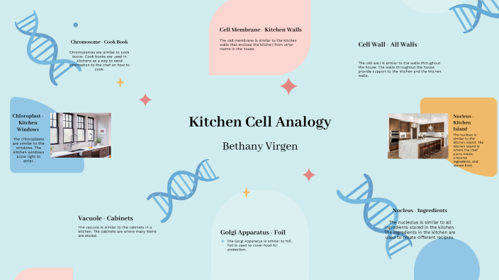Kitchen Cell Analogy by Bethany Virgen on Prezi