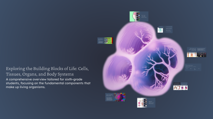 Exploring the Building Blocks of Life: Cells, Tissues, Organs, and Body ...