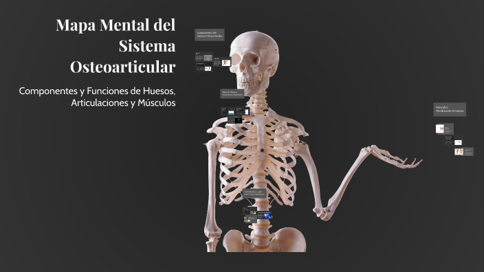 Mapa Mental del Sistema Osteoarticular by andrea hoyos mesa on Prezi