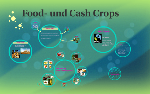 Food- und Cash Crops by Brigitte Egger on Prezi