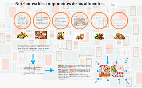 Nutrientes: los componentes de los alimentos. by on Prezi