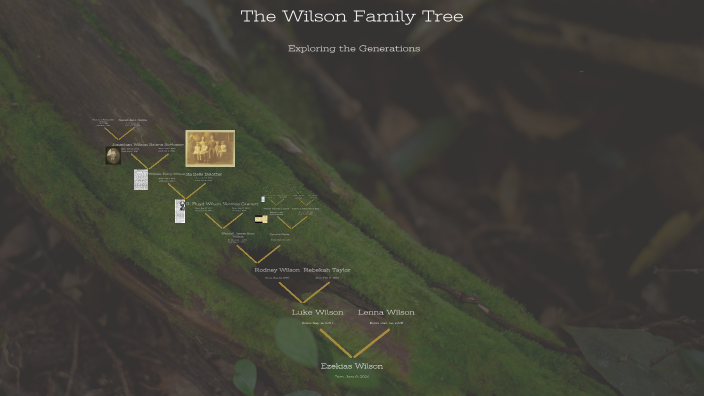 The Wilson Family Tree by Luke Wilson on Prezi