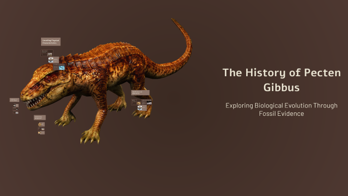 Virtual Tour of Pecten Gibbus by Maria Aguirre on Prezi